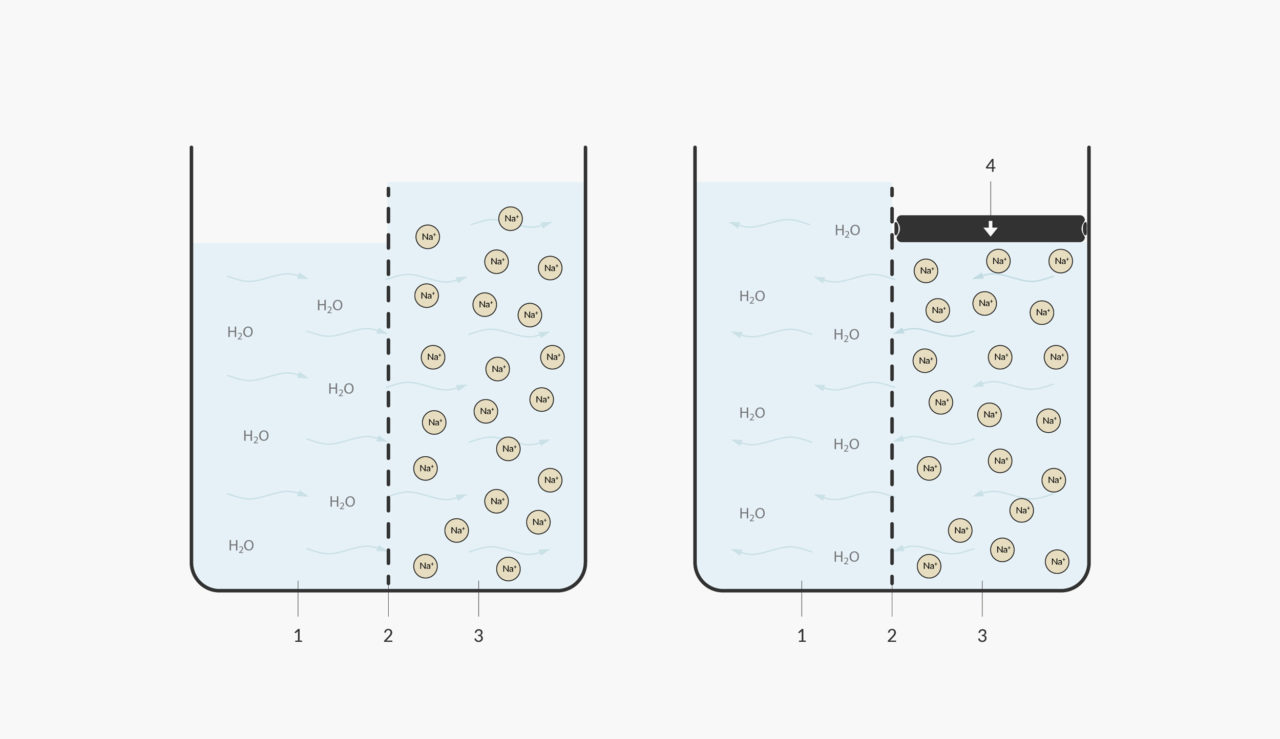 Twc 4 03 Osmosis Vs Reverse Osmosis Barista Hustle